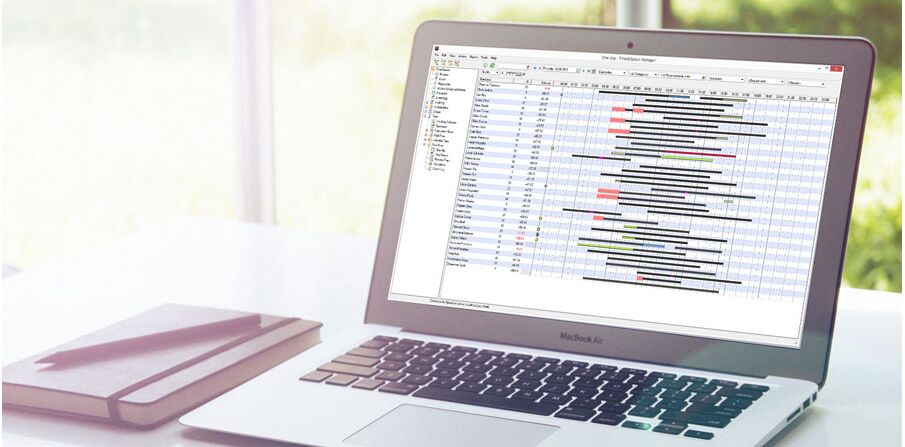 Pontaj :: Spica Time&Space :: Software :: Time&Space - Aplicatie de pontaj